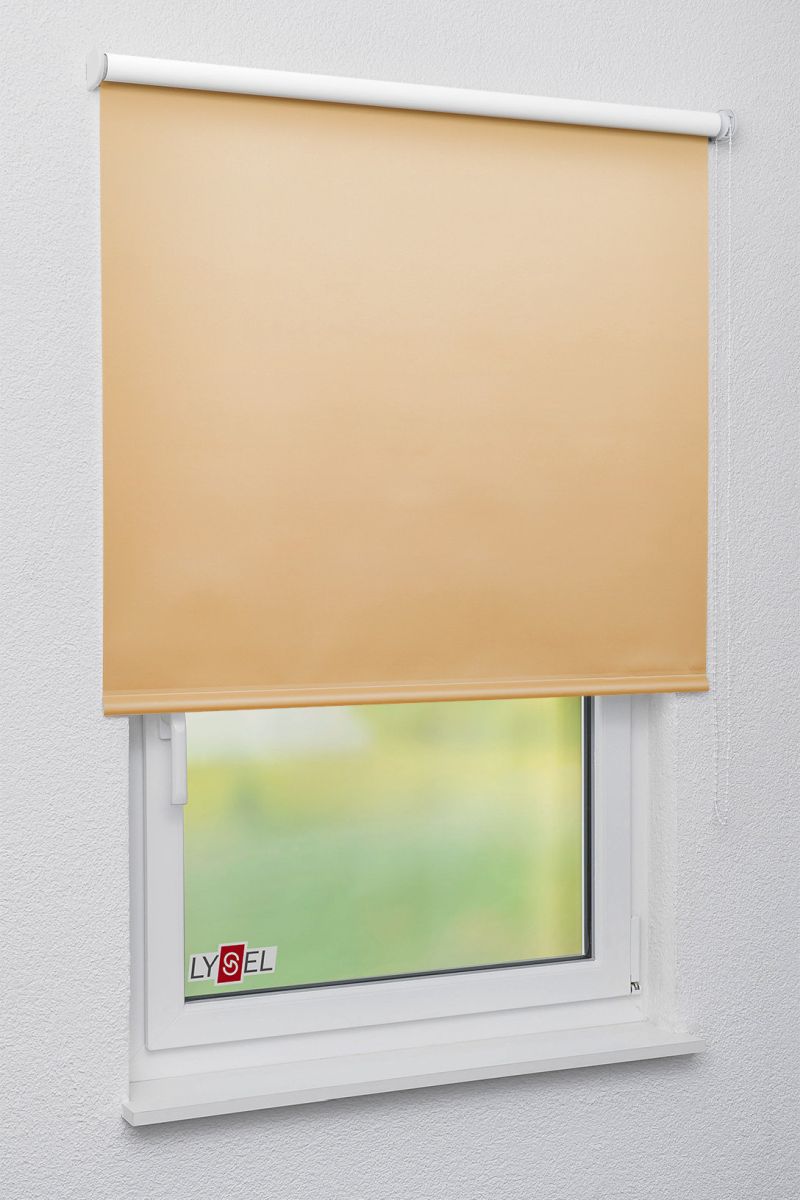 Beige Rollos - Dezenten Blickschutz online kaufen im Raumtextilienshop